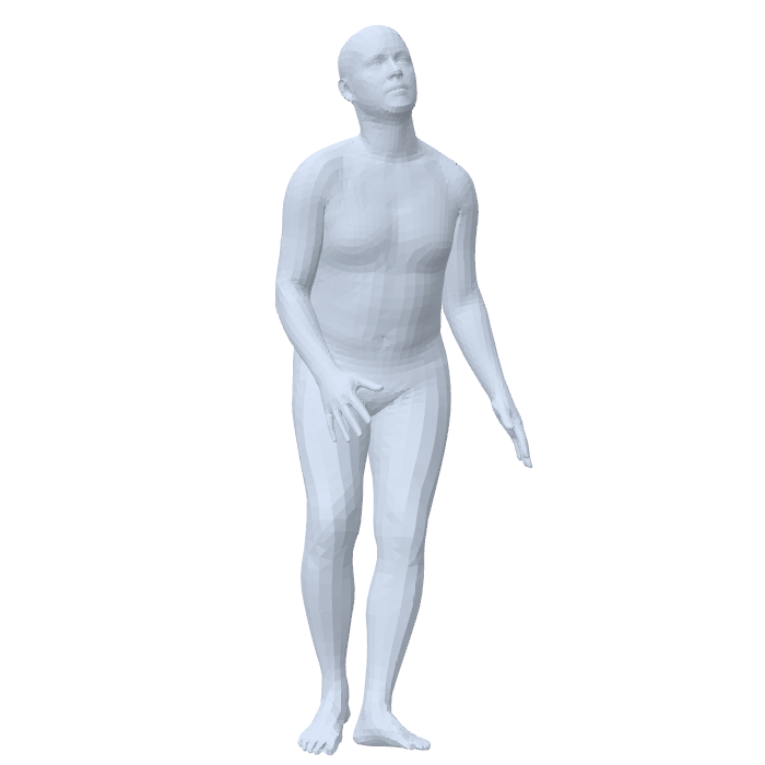 Fish2Mesh Transformer